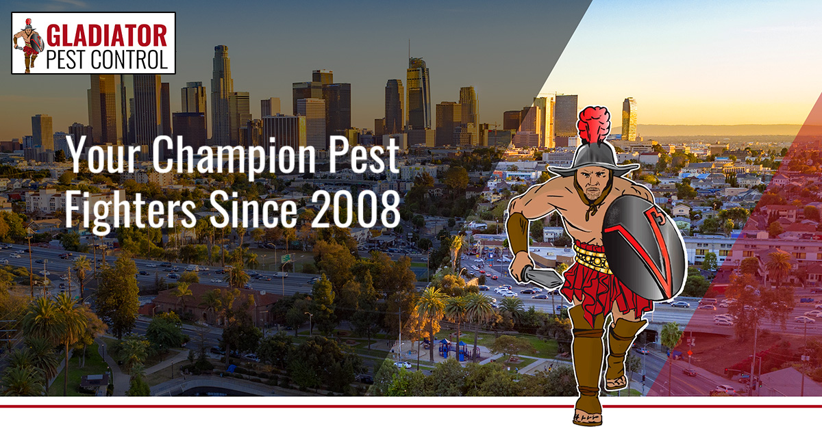 Pest Control Preparation Sheets | Comprehensive Bug Removal